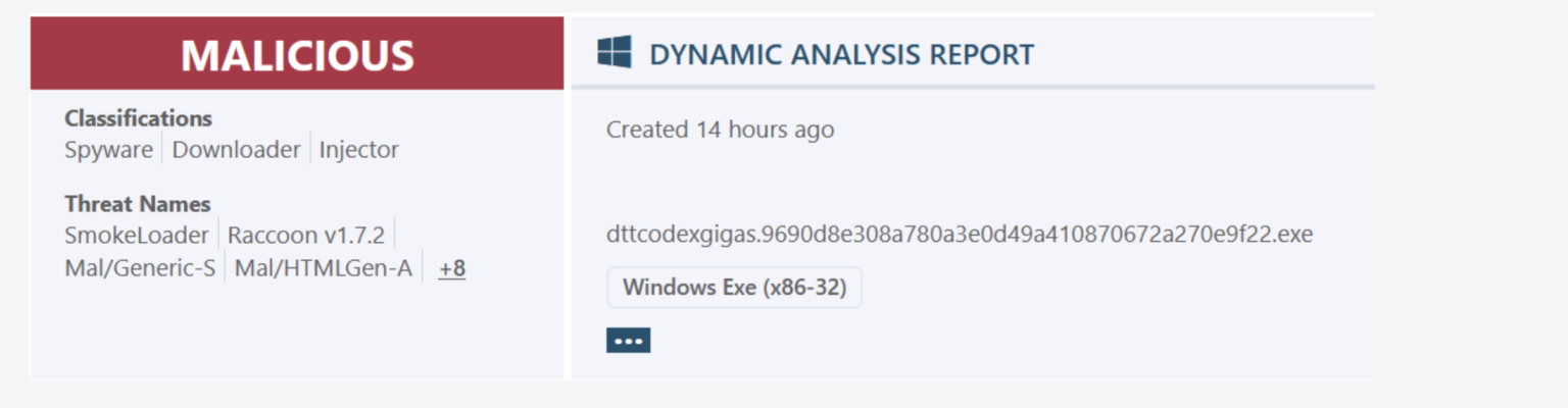 Malware Analysis Spotlight: Smoke Loader - VMRay