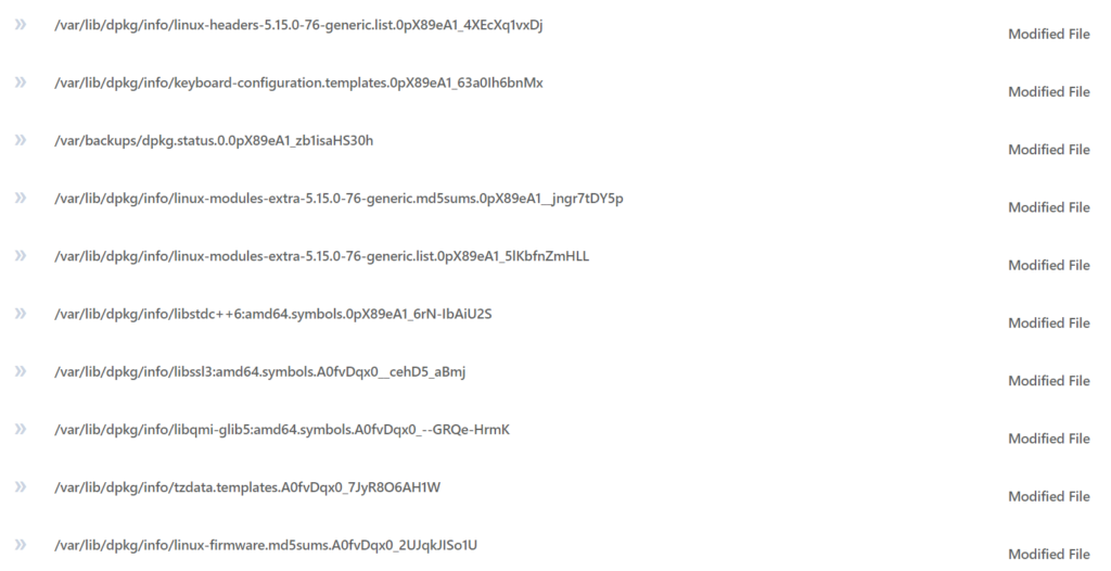VMRay’s Linux Support: Release Highlights 2023.3 - VMRay