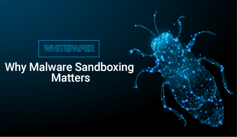 Why Malware Sandboxing Matters | Whitepaper | - VMRay