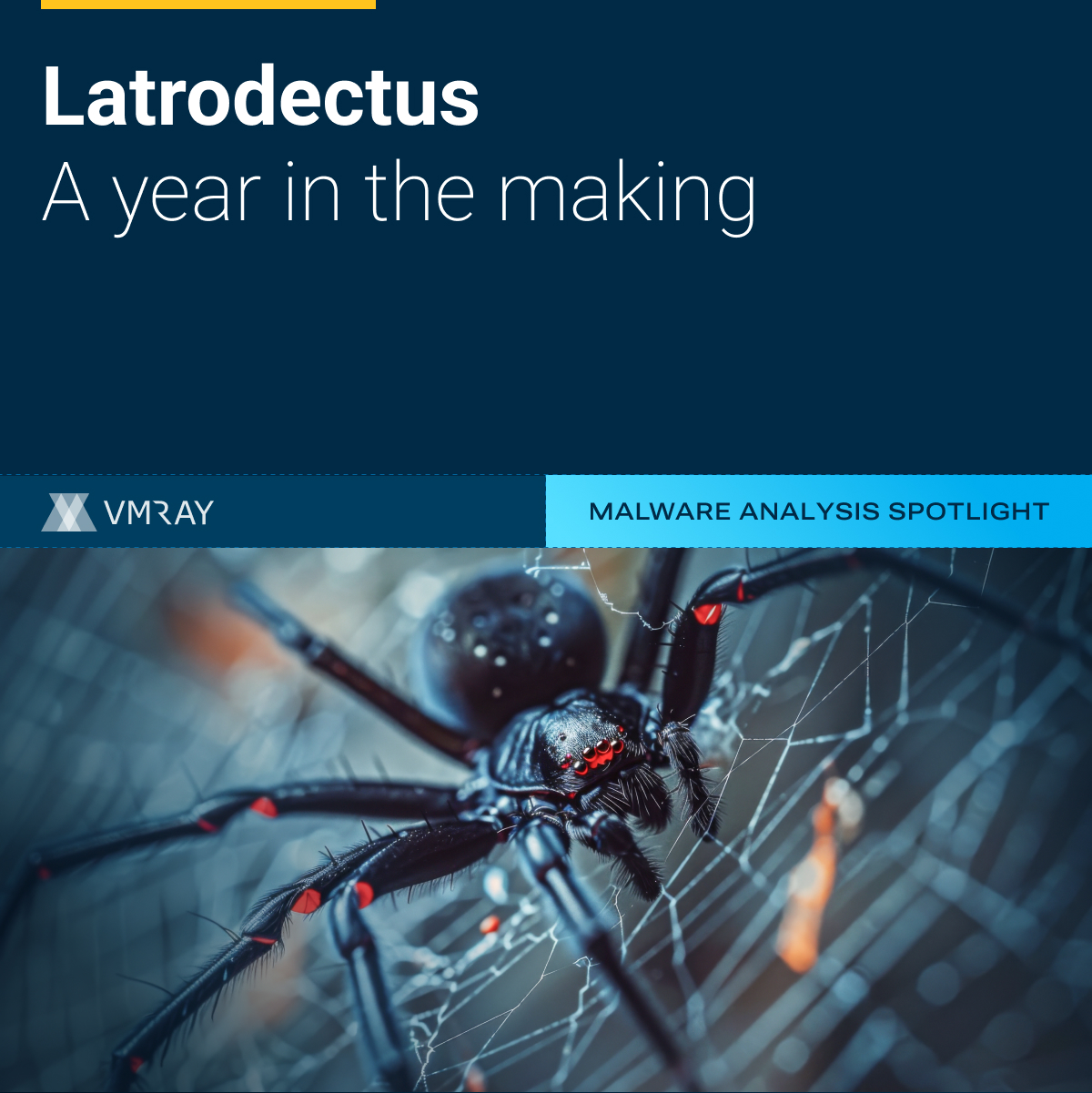 Understanding Latrodectus Malware: Development and Impact
